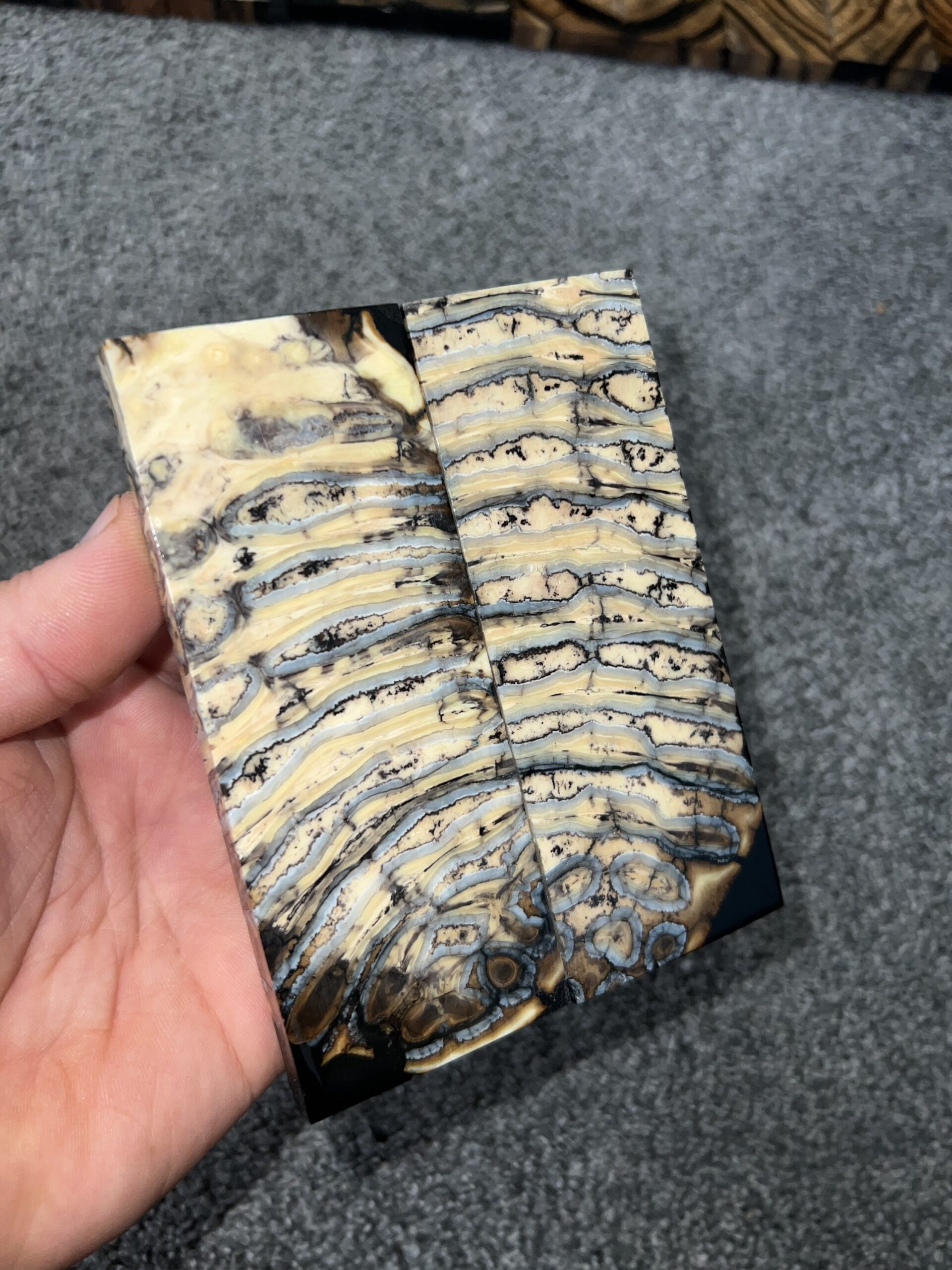 Mammoth molar scales!! - Kiran’s Koa