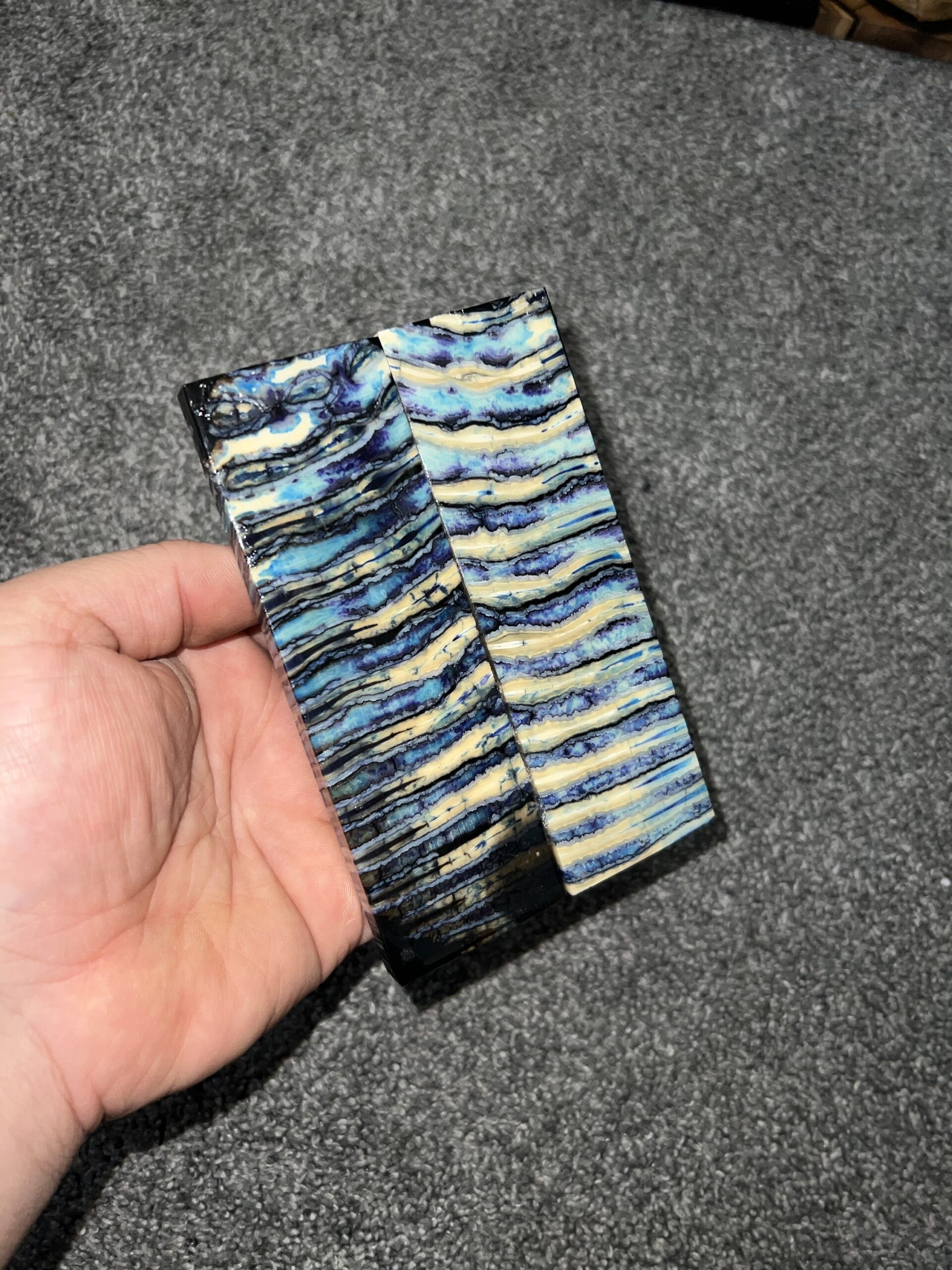 Mammoth molar scales! - Kiran's Koa